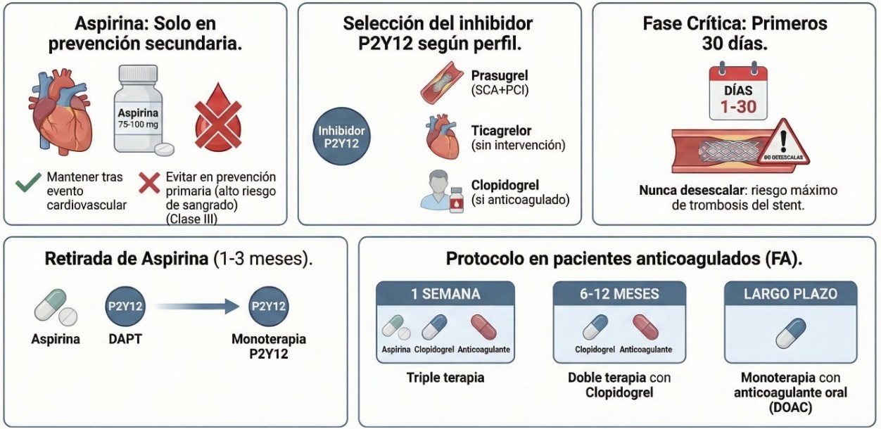 6. Antiagregantes plaquetarios en cardiología: aspirina, clopidogrel ...