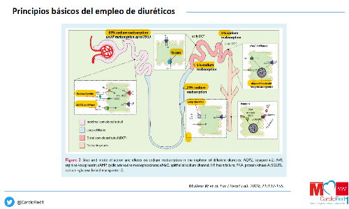 Diuréticos en enfermedad renal crónica: Hipertensión, sobrecarga de ...